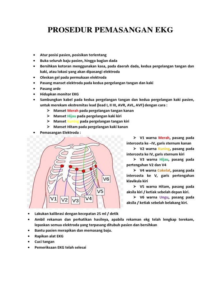 Cara Pemasangan Ekg | PDF