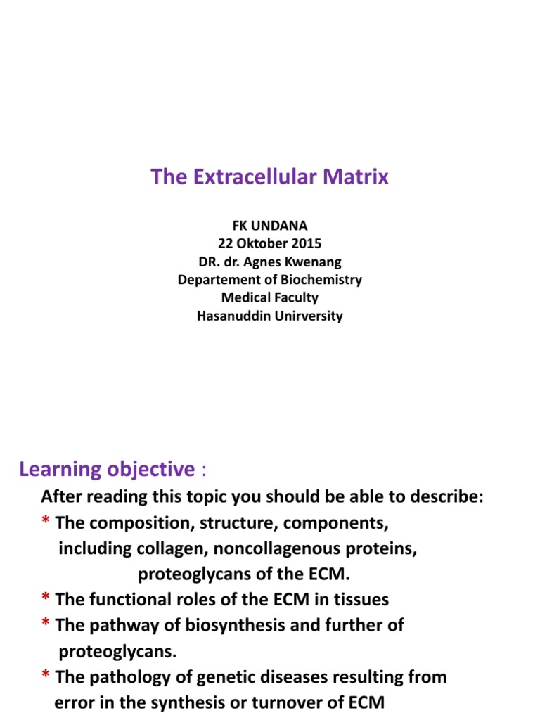 Extracellular Matrix Overview | PDF | Extracellular Matrix | Collagen