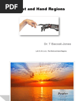 EMRA SportsMedicine Splint Guide | PDF | Thumb | Hand