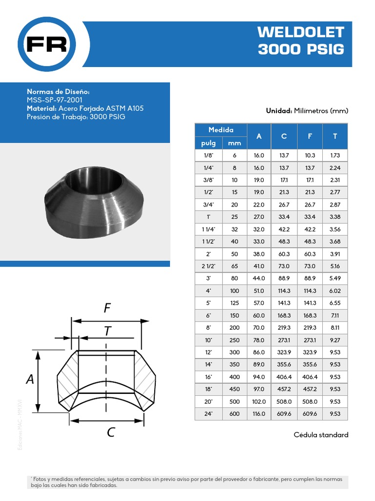 Weldolet | PDF | Naturaleza
