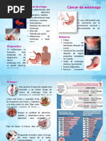 Triptico Cancer de Prostata | PDF | Cancer de prostata | Cáncer