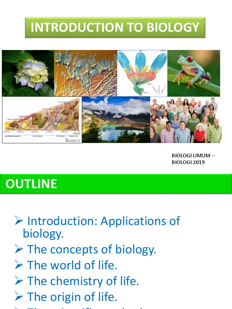 Principle of Cellular Life | PDF | Carbohydrates | Covalent Bond