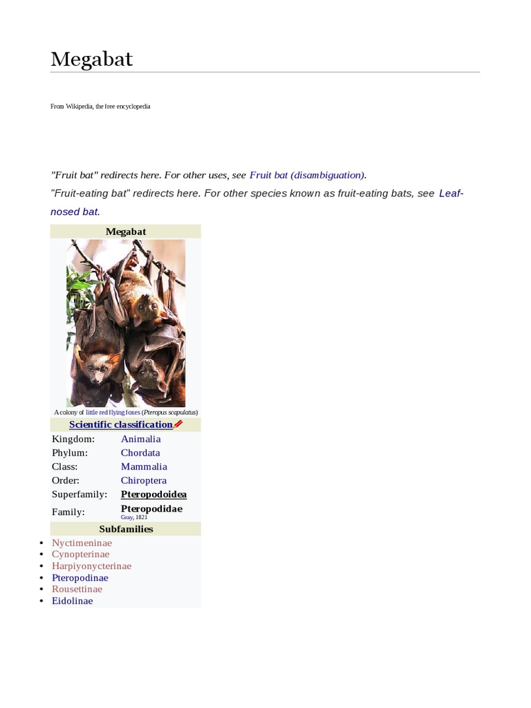 MegaBat Species | PDF | Organisms | Nature