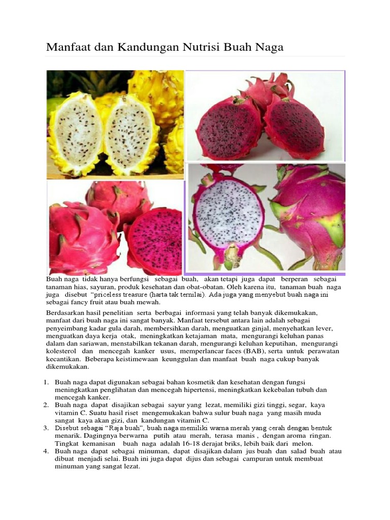 Manfaat Dan Kandungan Nutrisi Buah Naga | PDF Manfaat Dan Kandungan Nutrisi Buah Naga | PDF