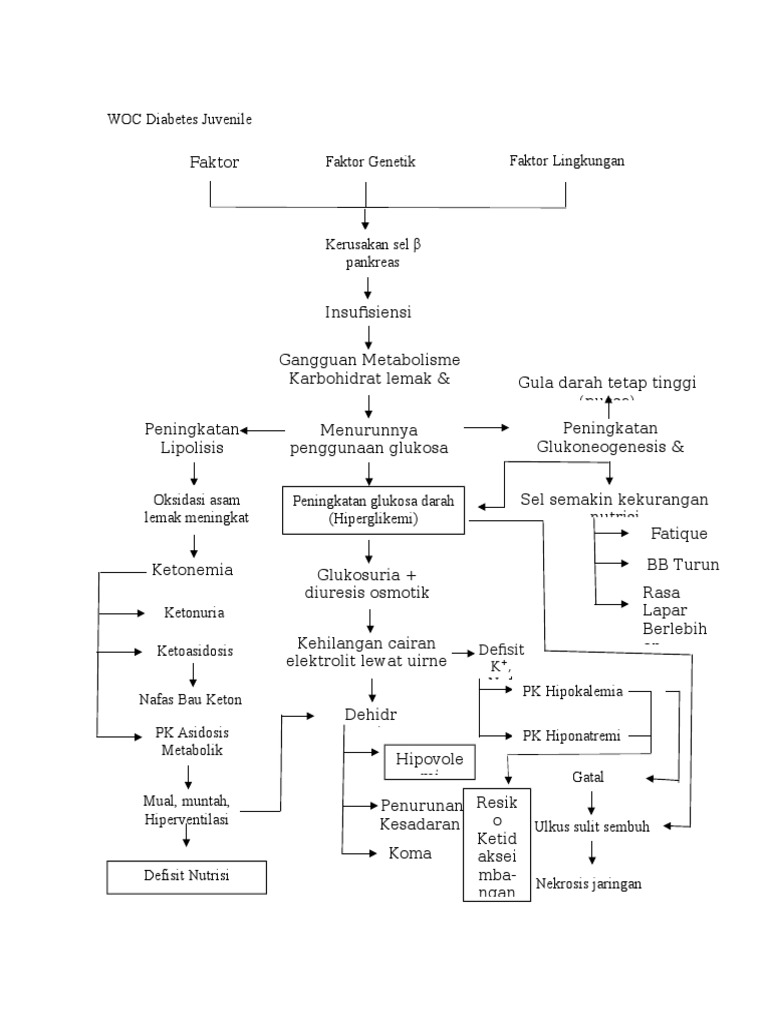 Woc Diabetes Juvenile | PDF