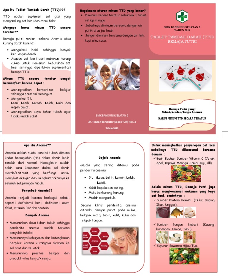 Pentingnya TTD untuk Remaja Putri | PDF