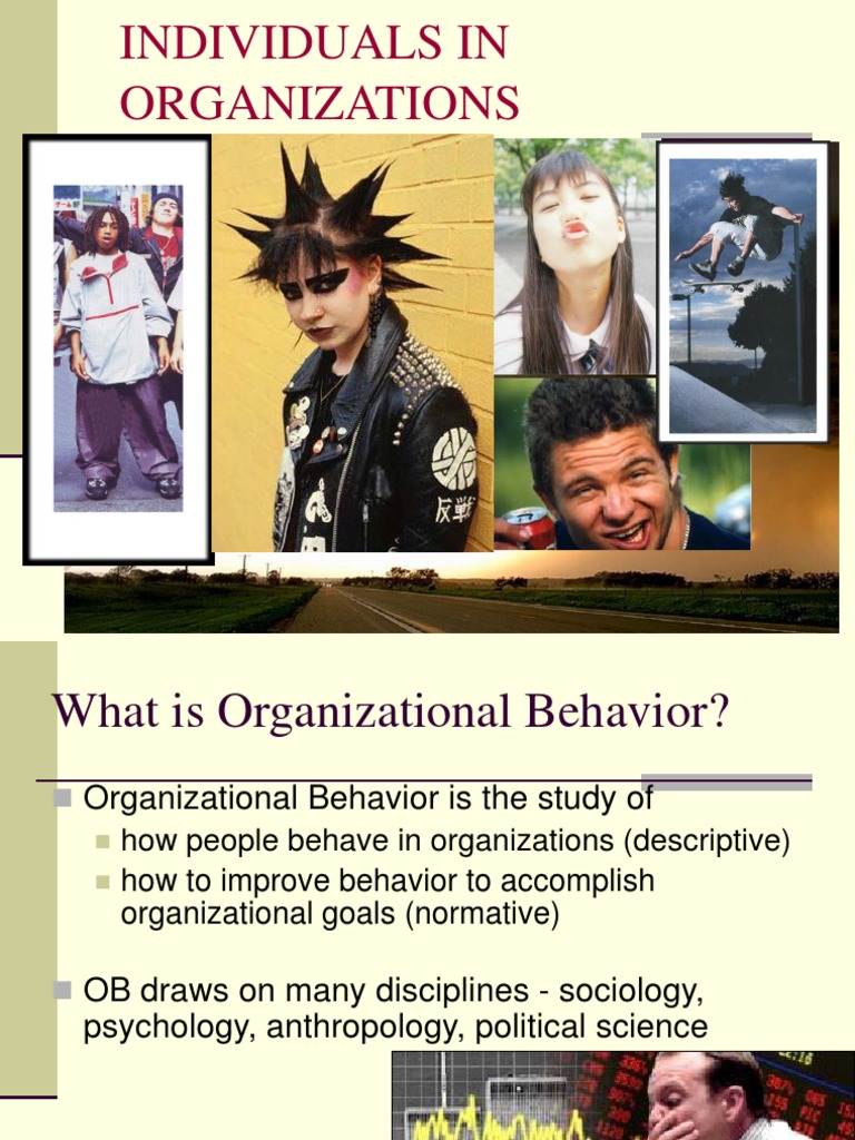 Individual in Organization | PDF | Organizational Behavior | Emotions
