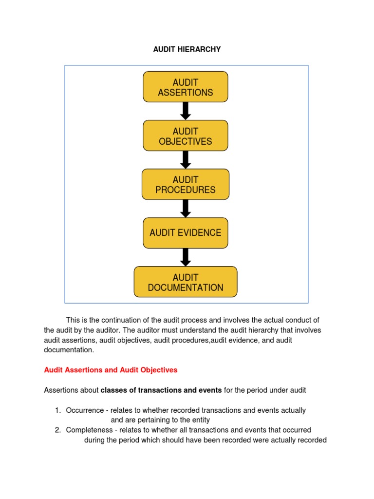 CIS Report | PDF | Internal Control | Audit