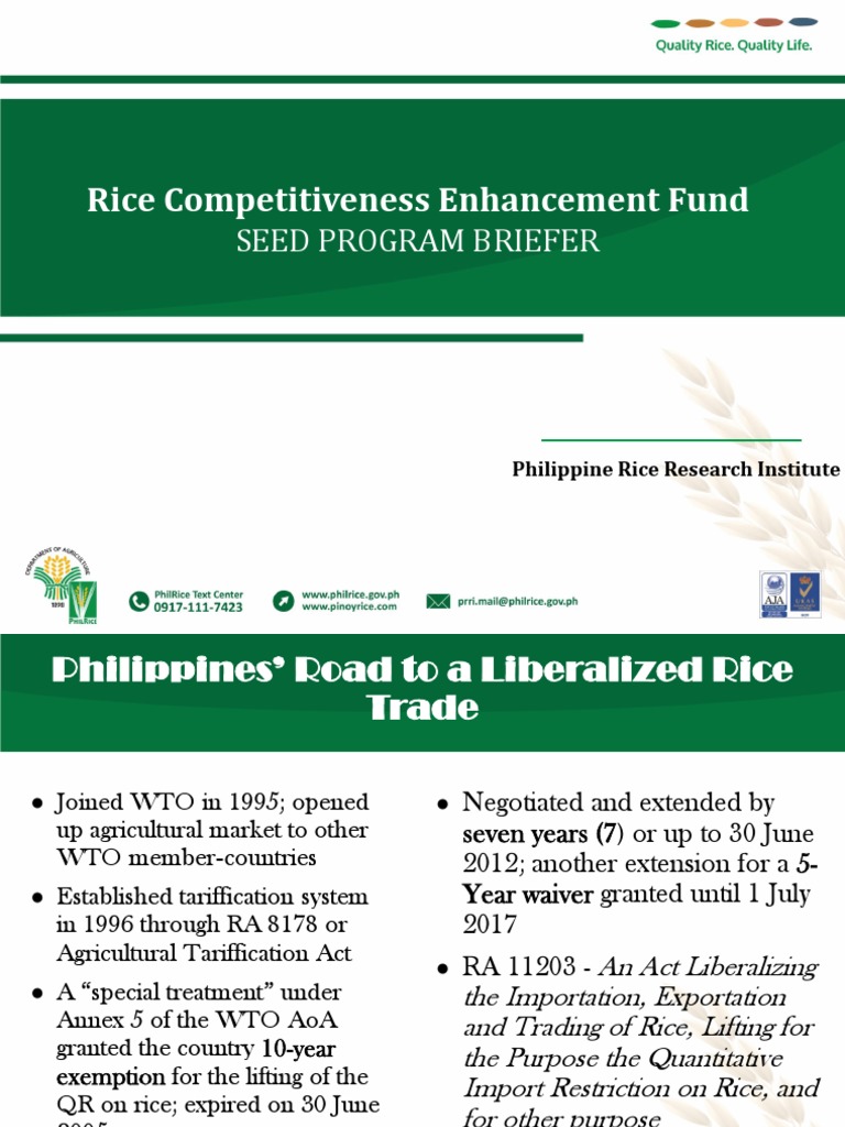 Rcef Seed | PDF | Agriculture | Rice