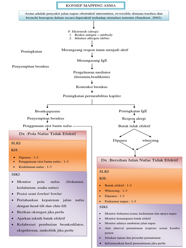 Mapping Asma | PDF