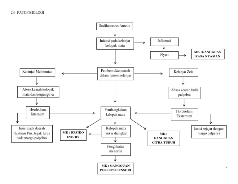 PATOFISIOLOGI HORDEOLUM (ABSES KELENJAR MEIBOMIAN) | PDF