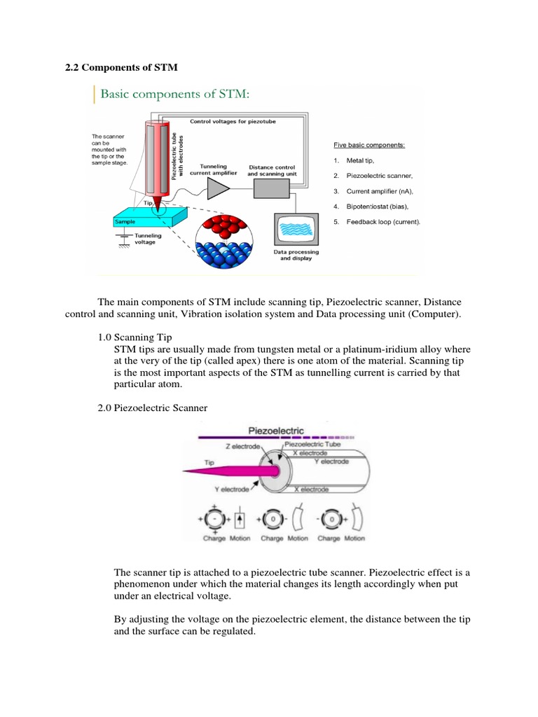 Components of STM | Download Free PDF | Scanning Tunneling Microscope ...