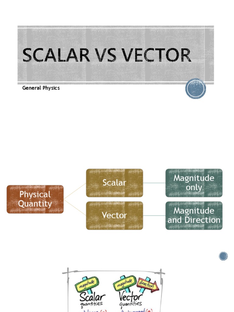 Scalar Vs Vector | PDF