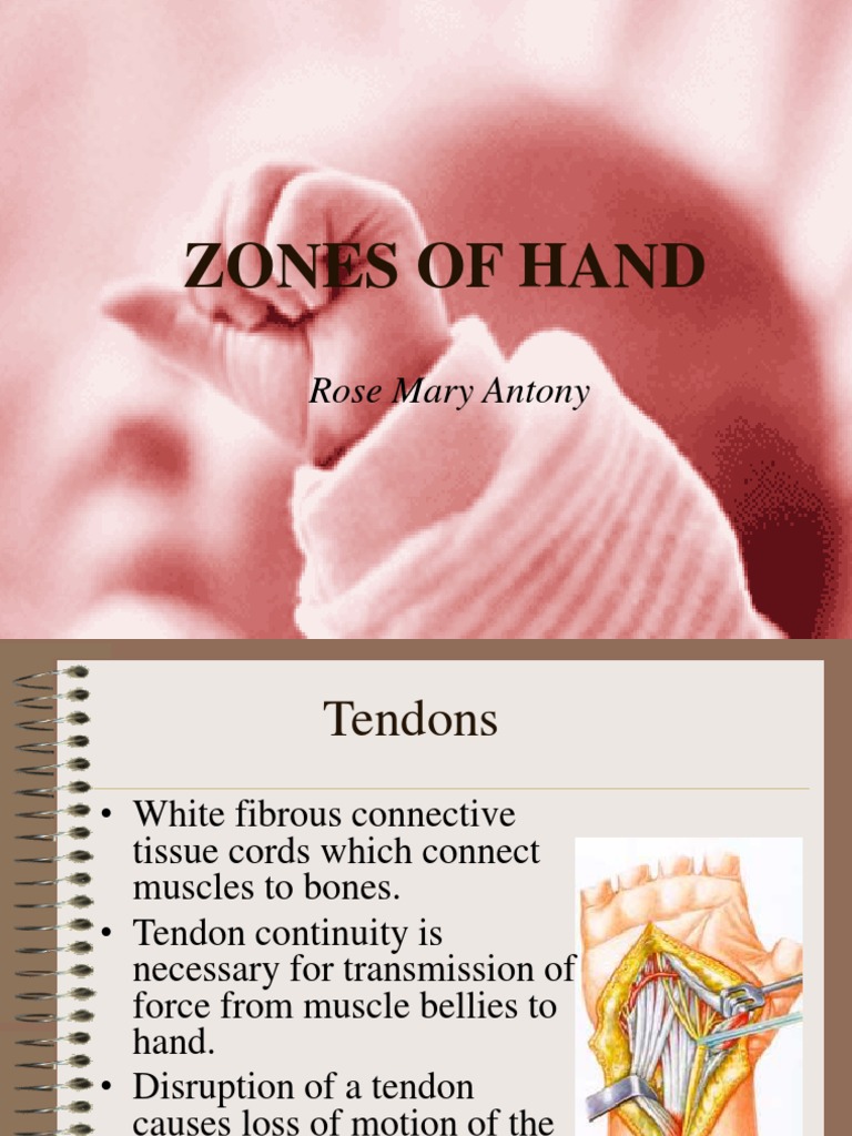 Zones of Hand: Rose Mary Antony | Download Free PDF | Finger | Thumb