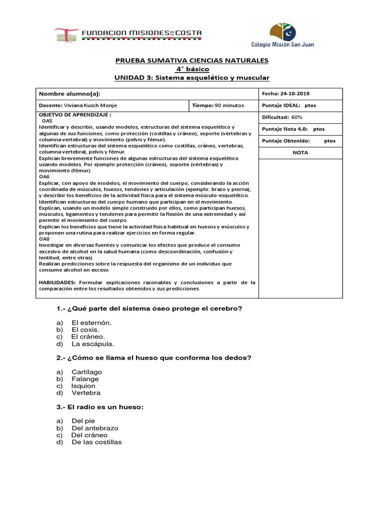 Prueba Sistema Esquelético y Muscular | PDF | Hueso | Articulación
