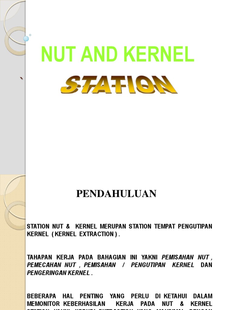 07.nut & Kernel Station | PDF
