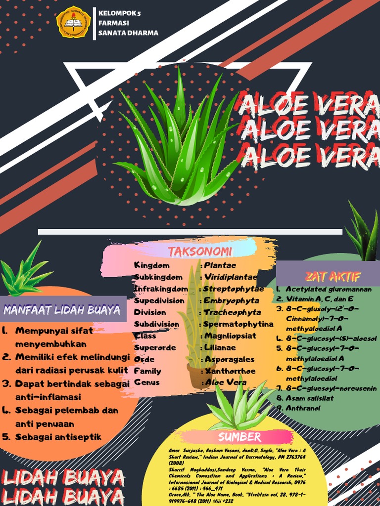 Aloe Vera | PDF