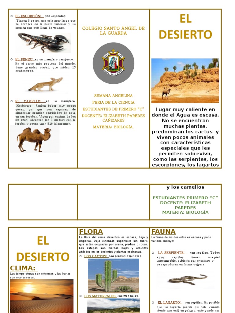 El Desierto | PDF | Desierto | Naturaleza