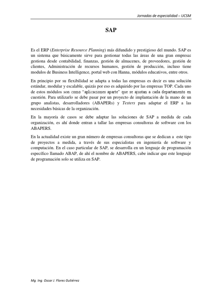 001 - 1 Intro Minisap Abap | PDF | Planificación de recursos empresariales | Programación de ...