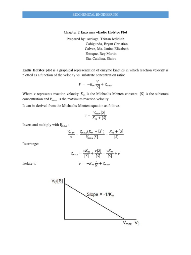 Chapter 2 Enzymes - Eadie Hofstee Plot: Biochemical Engineering | PDF ...