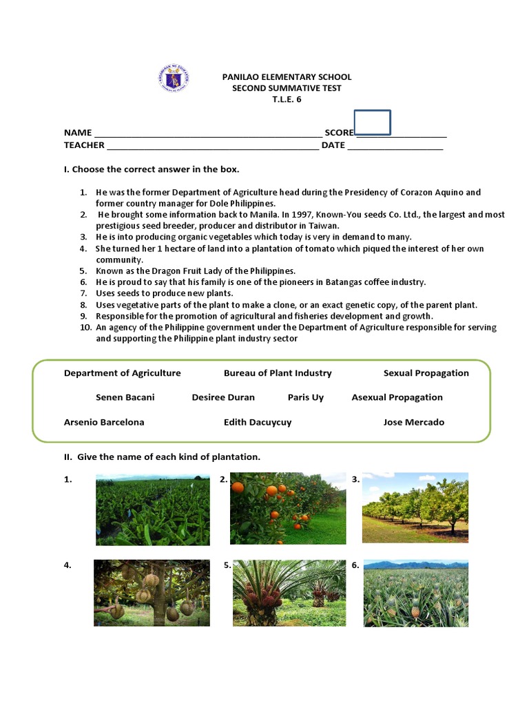 2nd Summative Test in Agriculture 6 | PDF | Plants | Agronomy