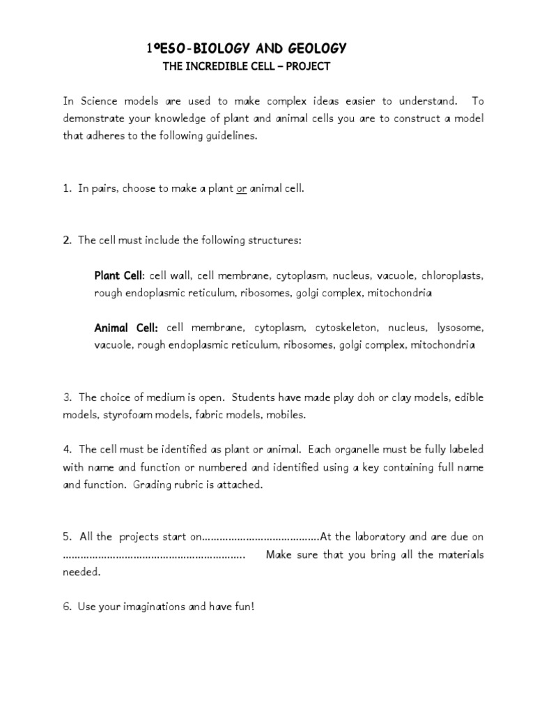 Cell Model Project | PDF | Cytoplasm | Cell (Biology)