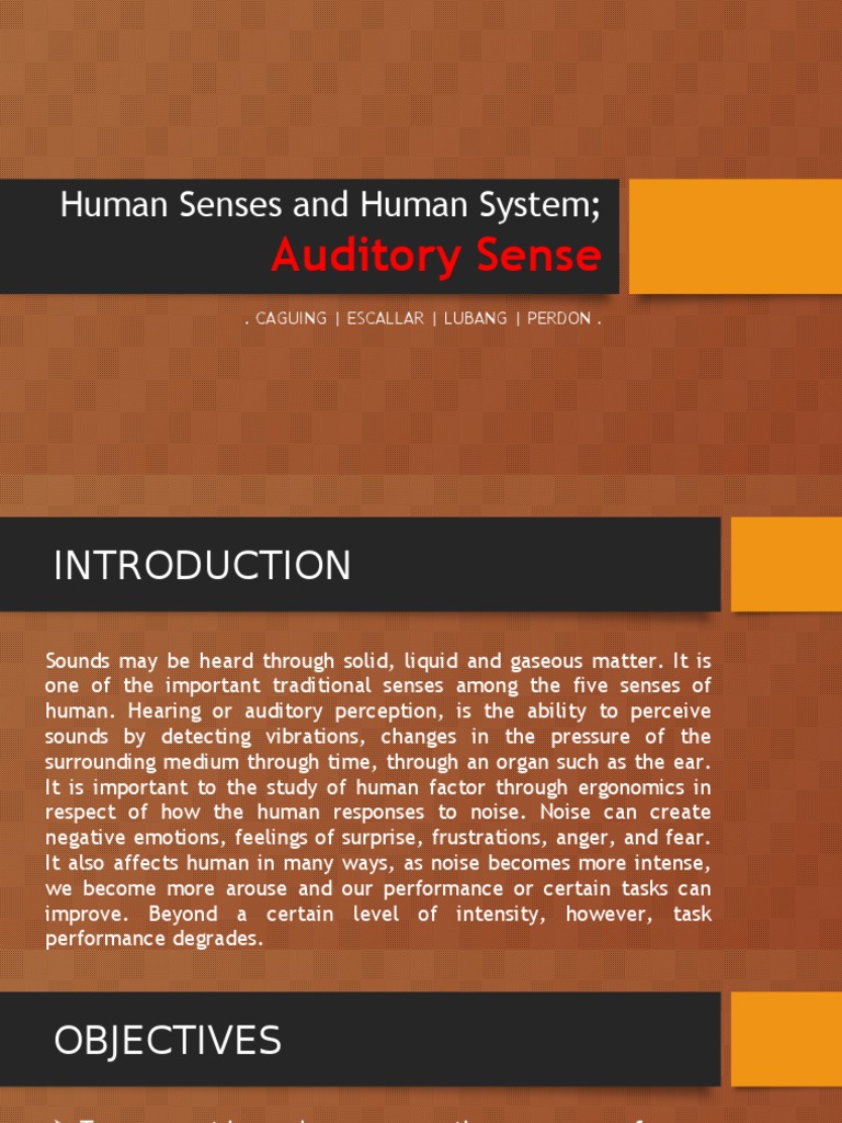 Understanding the Human Auditory System: A Detailed Explanation of How ...