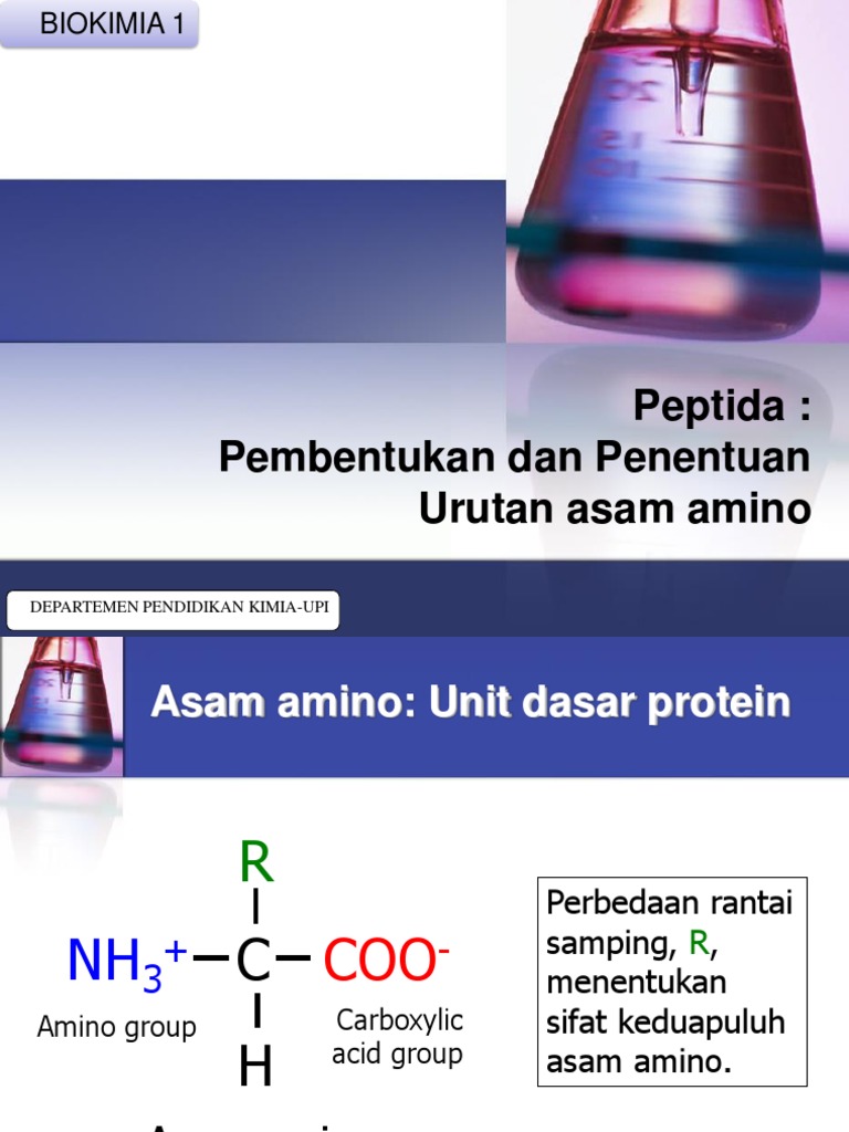 Peptida 2019-4 | PDF