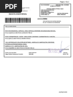 Formato Imss Dar | PDF