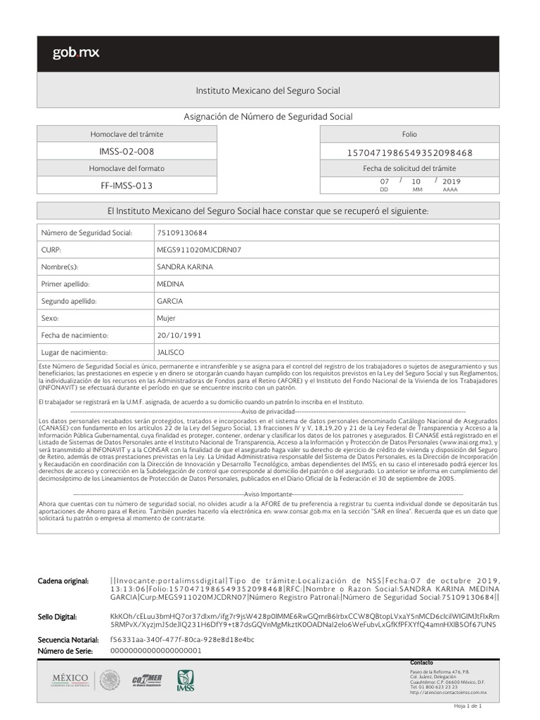 Formato de NSS | PDF | Privacidad de la información | Instituciones sociales