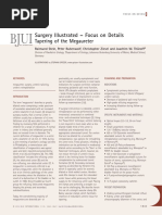 Gibson Incision | PDF