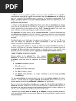 Pasillo Manabí e Himno A Manabi | PDF