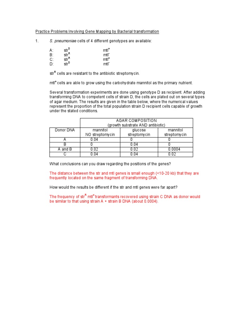 Transformation Mapping PDF | PDF | Transformation (Genetics ...