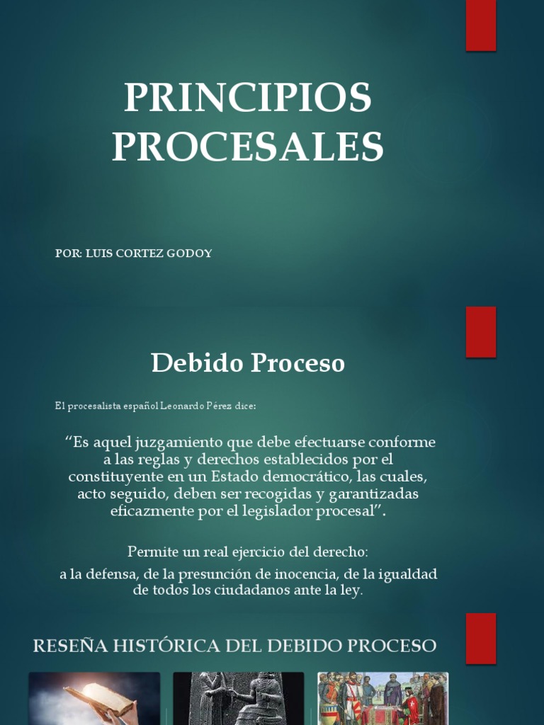 PRINCIPIOS PROCESALES | Debido al proceso | Principios éticos