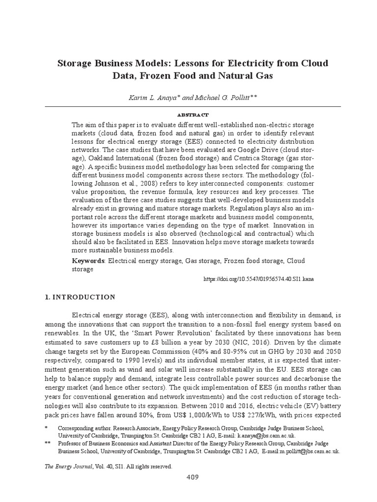 Lessons from Storage Business Models | PDF | Natural Gas Storage ...
