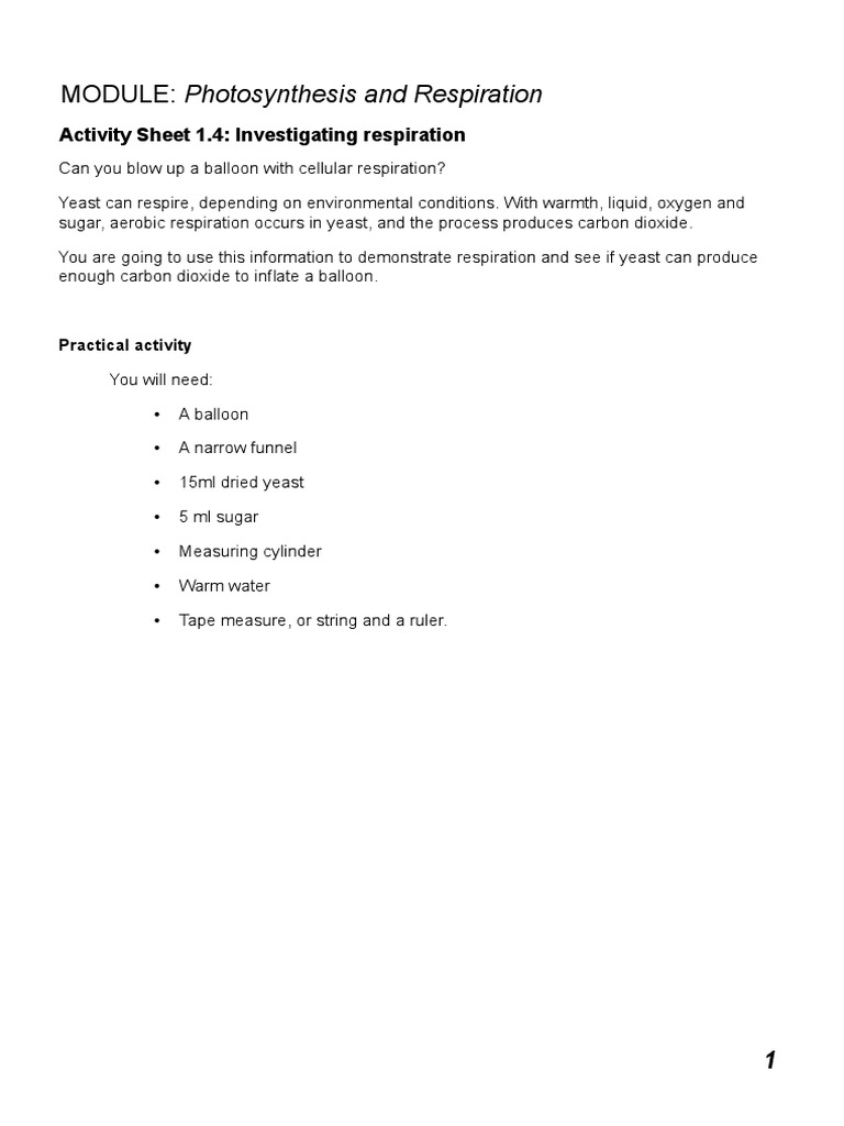Yeast Cellular Respiration Balloon Lab | PDF