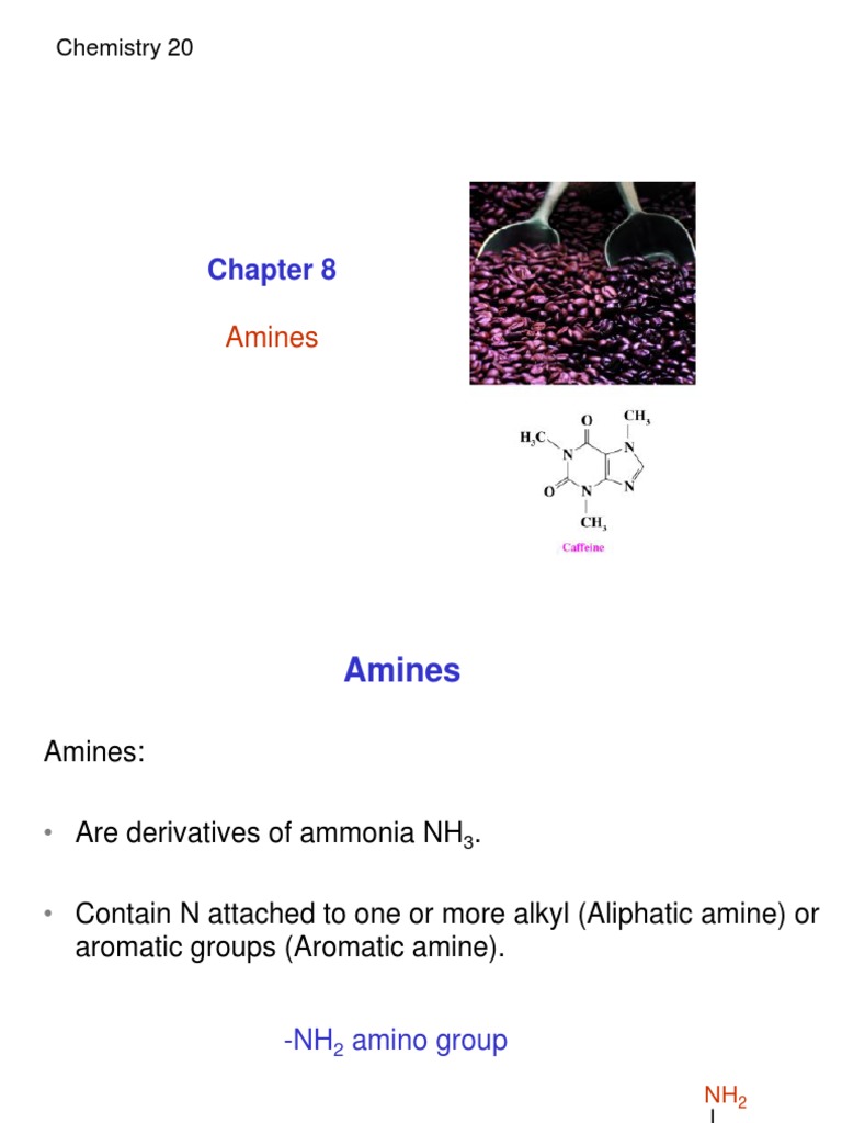 Amina Primer | PDF | Amine | Organic Compounds