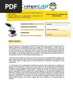 Microscopia Guia de Trabajo Practico | PDF | Microscopio | Óptica