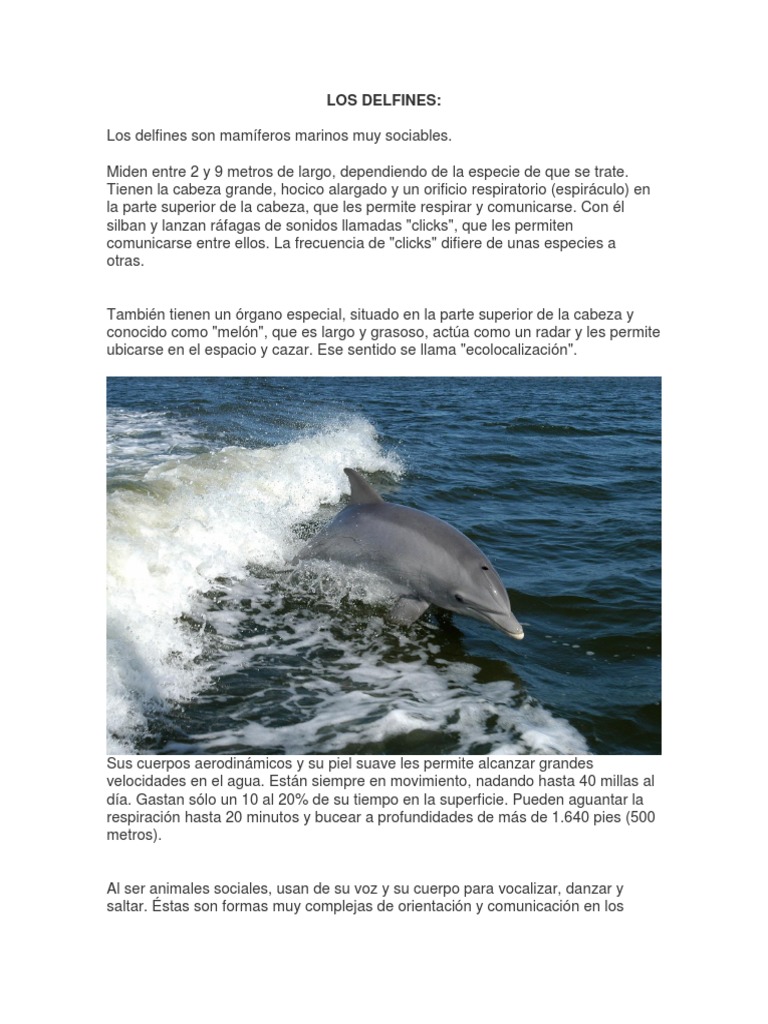 Los Delfines | PDF | Naturaleza