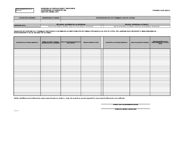 Formato RCE Lab para Licitaciones | PDF | Business