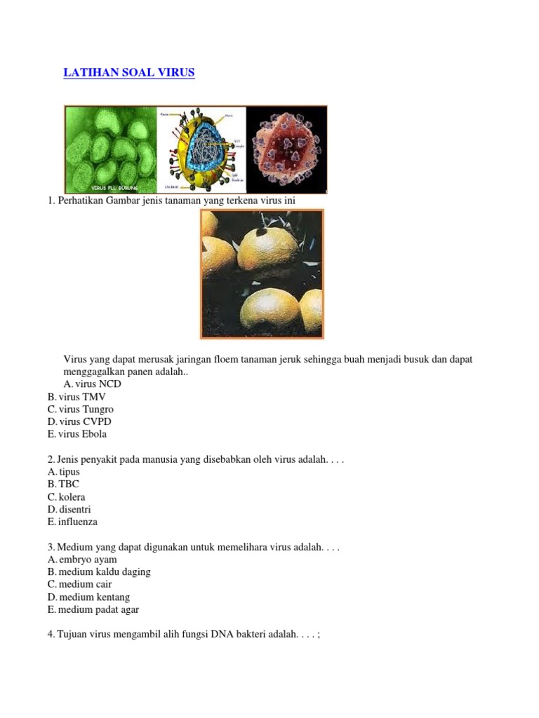 Latihan Soal Virus | PDF | Ilmu Sosial | Kesehatan Holistik