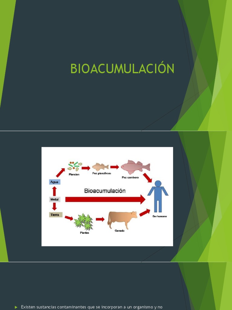 BIOACUMULACIÓN | PDF