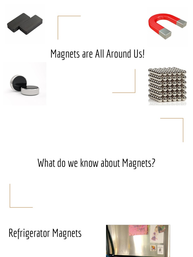 Understanding Everyday Magnets | PDF | Law | Young Adult
