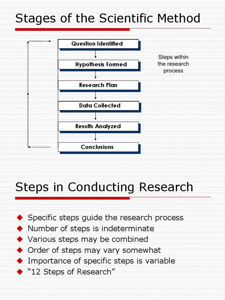 Understanding the Research Process Steps | PDF