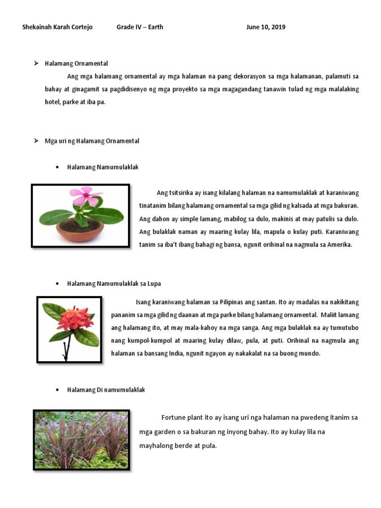 Halamang Ornamental | PDF