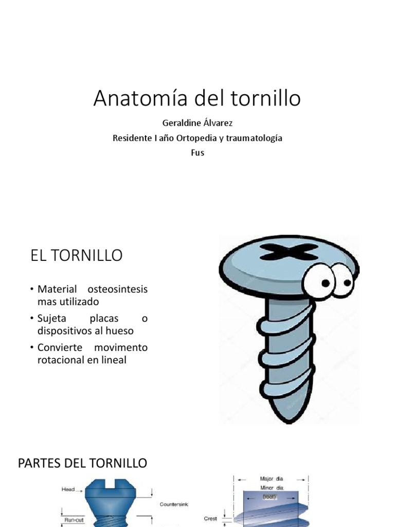 Anatomia Del Tornillo | PDF