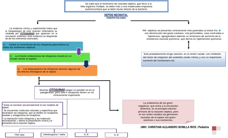 Sepsis Neonatal (Fisiologia) - Tarea | PDF | Septicemia | Citocina