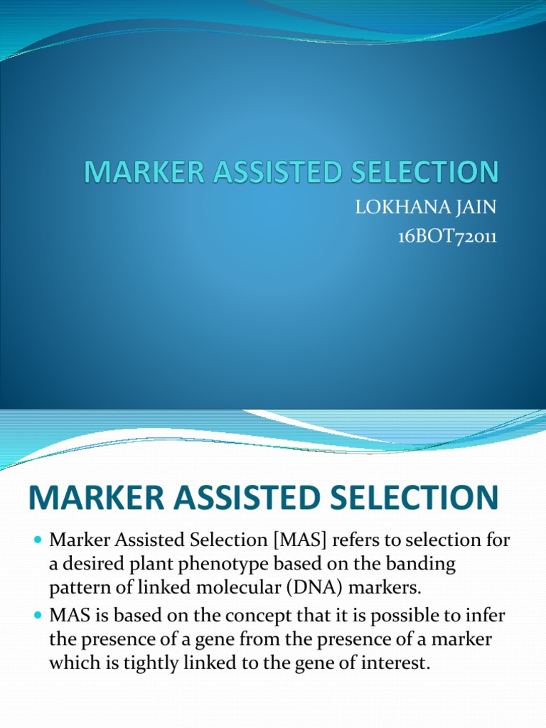 Marker Assisted Selection | PDF | Genetic Marker | Plant Breeding