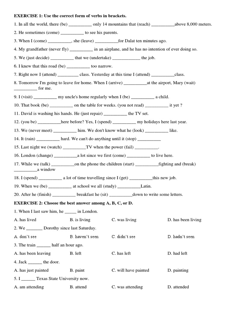 EXERCISE 1: Use The Correct Form of Verbs in Brackets | PDF