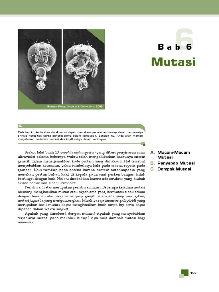 Bahan Mutasi | PDF